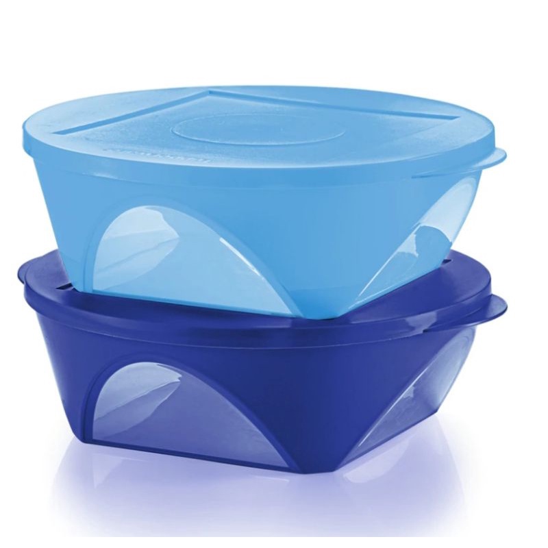 TUPPERWARE Outdoor Dining Bow (2pc) | Shopee Malaysia