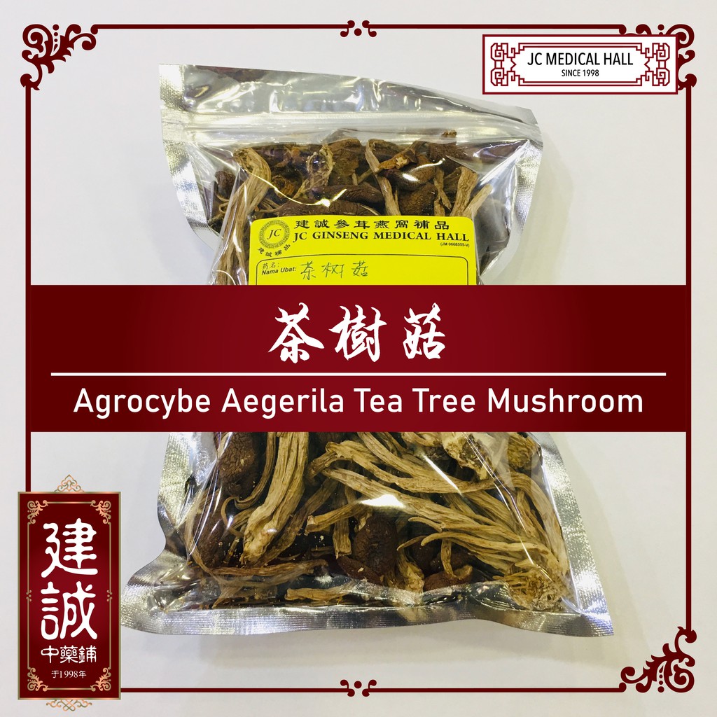 🍄 Tea Tree (Ganoderma) Mushroom 茶树菇-100g | Shopee Malaysia