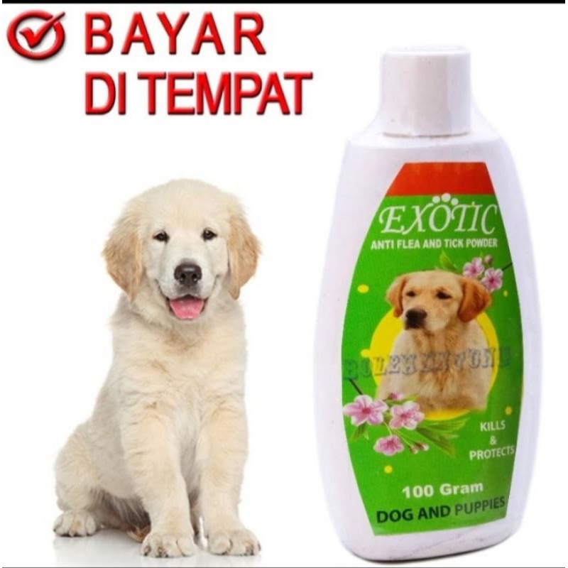 Exotic Tick & Flea Dog Parasite Itching Dog Powder | Shopee Malaysia