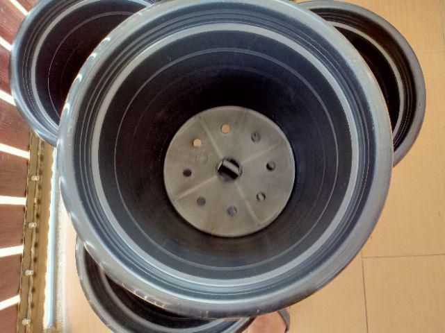 Saiz 15inci pasu Thailand | Shopee Malaysia