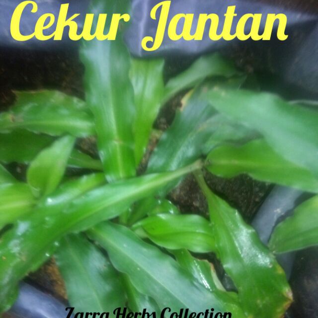 Shopee Malaysia | Free Shipping Across Malaysia