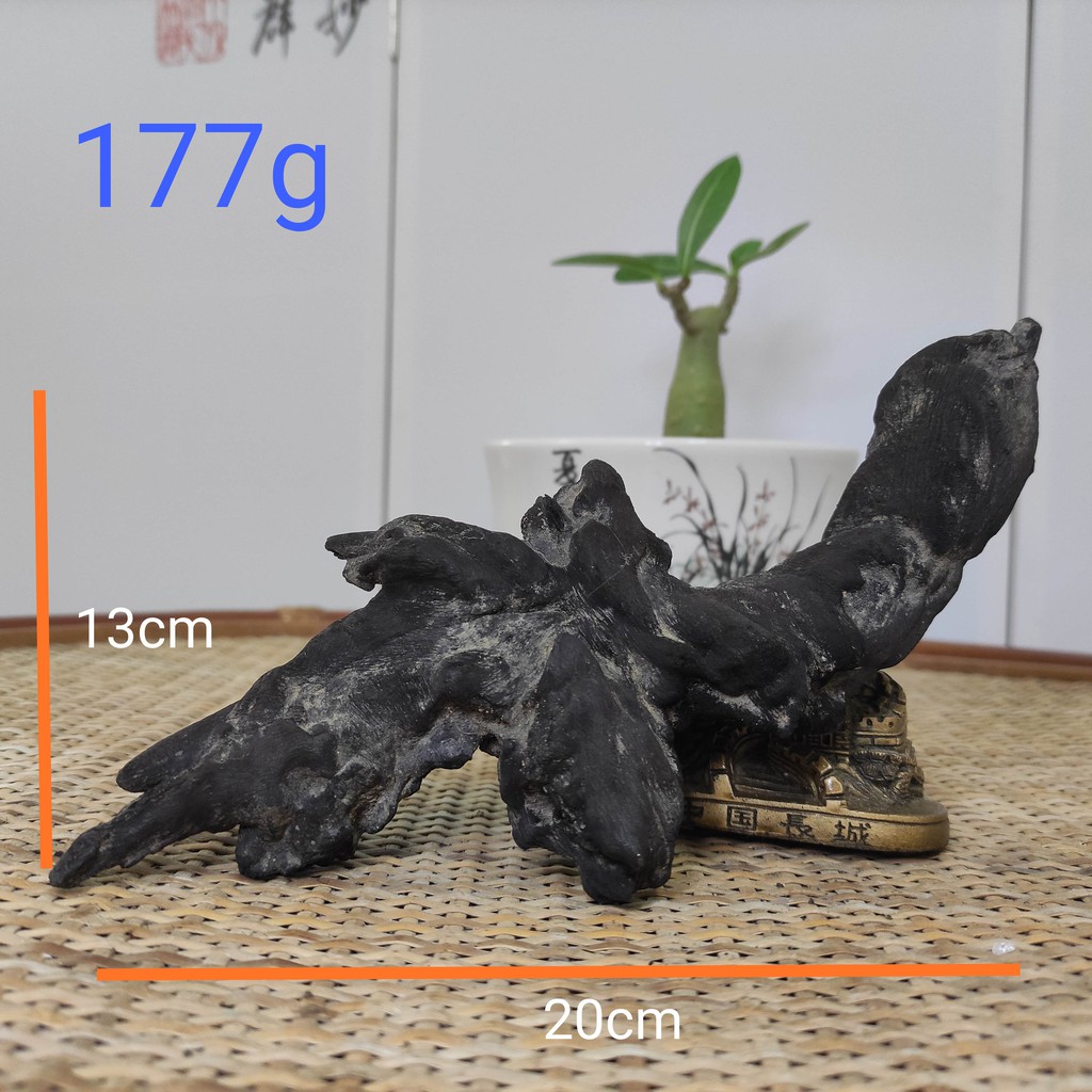 🔥Kayu kemuning hitam Asli 黑金木 177g FREE SHIPPING | Shopee Malaysia