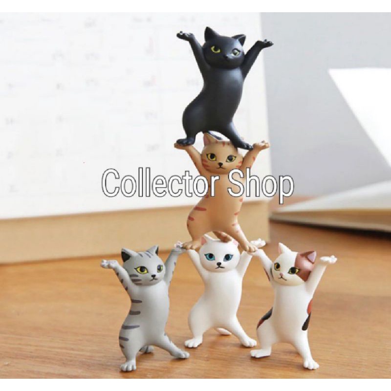 Cat Ghana Funeral Coffin Dancing Pallbearer Kucing Grave Comel Model ...
