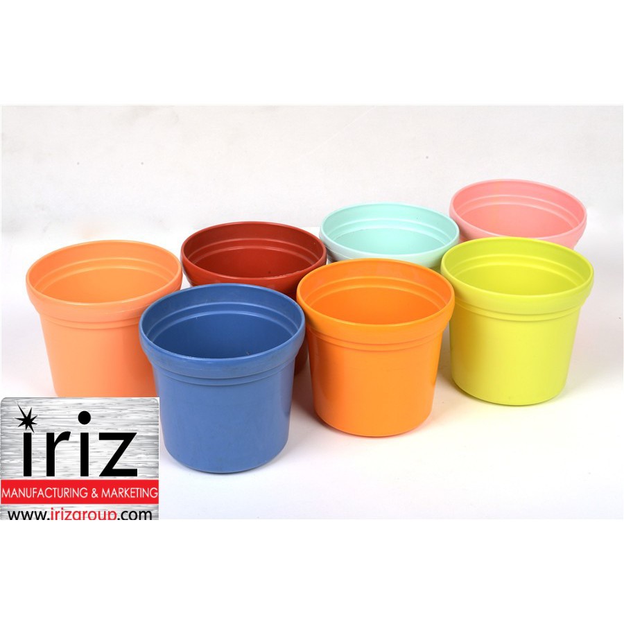 5.5 CM 💥Color Seedling Cactus Succulent Pot Pasu Semaian | Shopee Malaysia