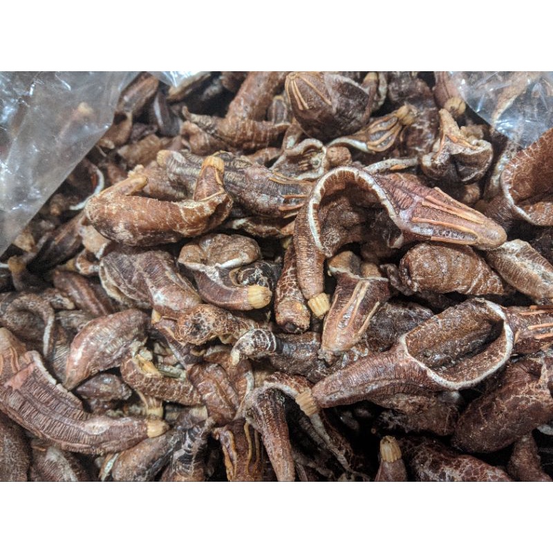 Tripang Crackers Typical Of surabaya kenjeran/Snack Packs 100g | Shopee ...