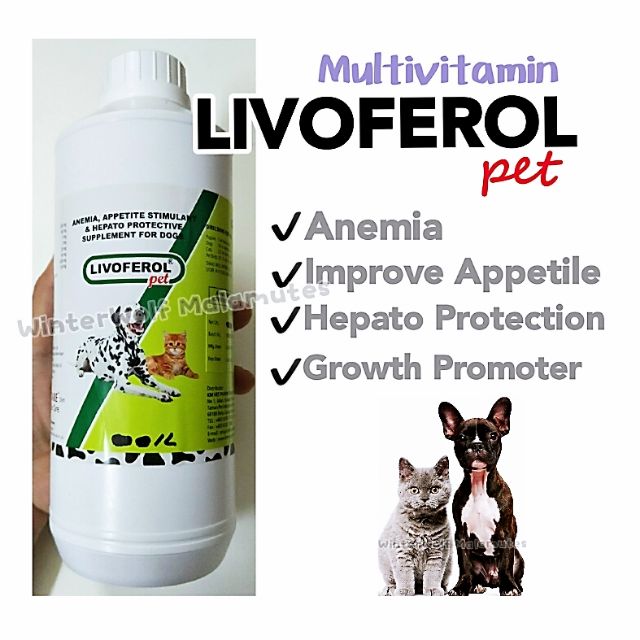 [Pet Supplement] Original Livoferol Pet Liver supplement for dogs and ...