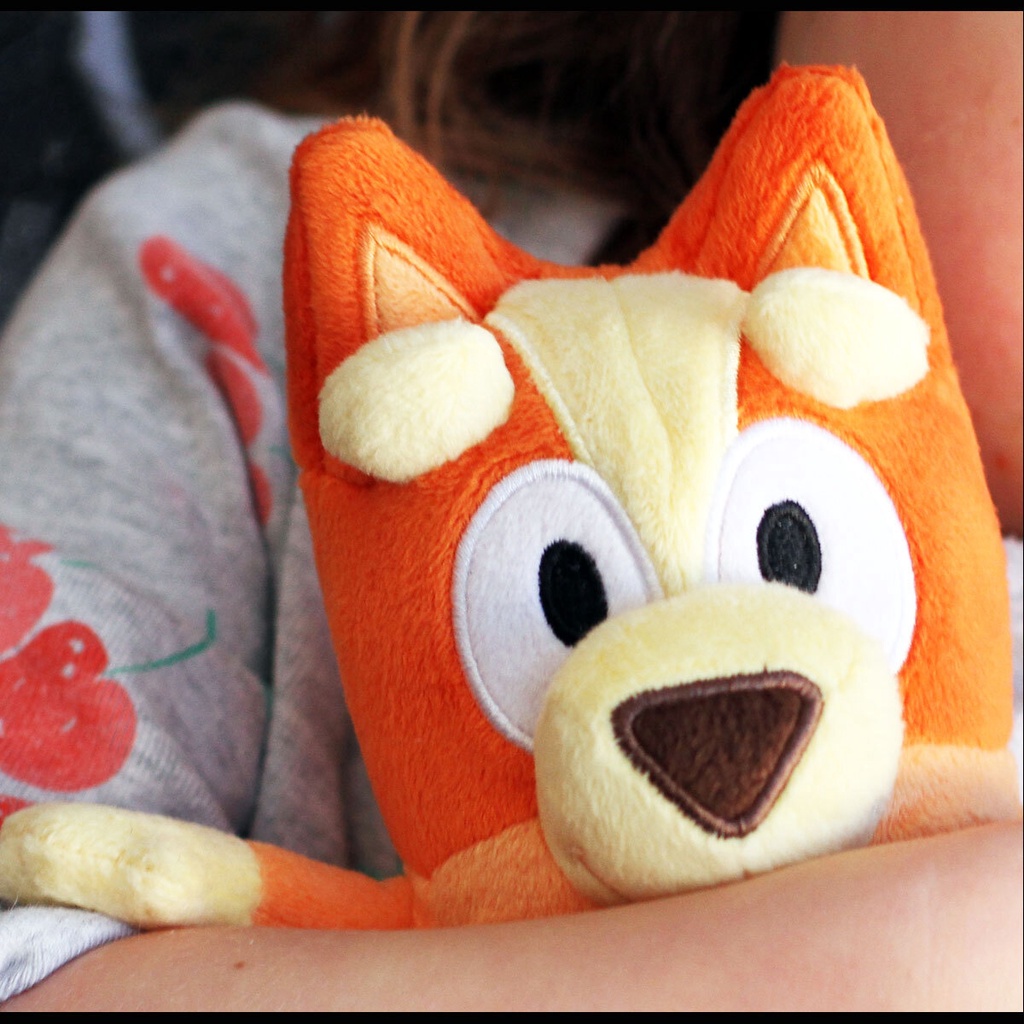 Bluey Jumbo Bingo Soft Toy | Shopee Malaysia
