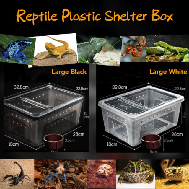 [Free Bowl] Reptile breeding box L plastic herp box large reptile box ...