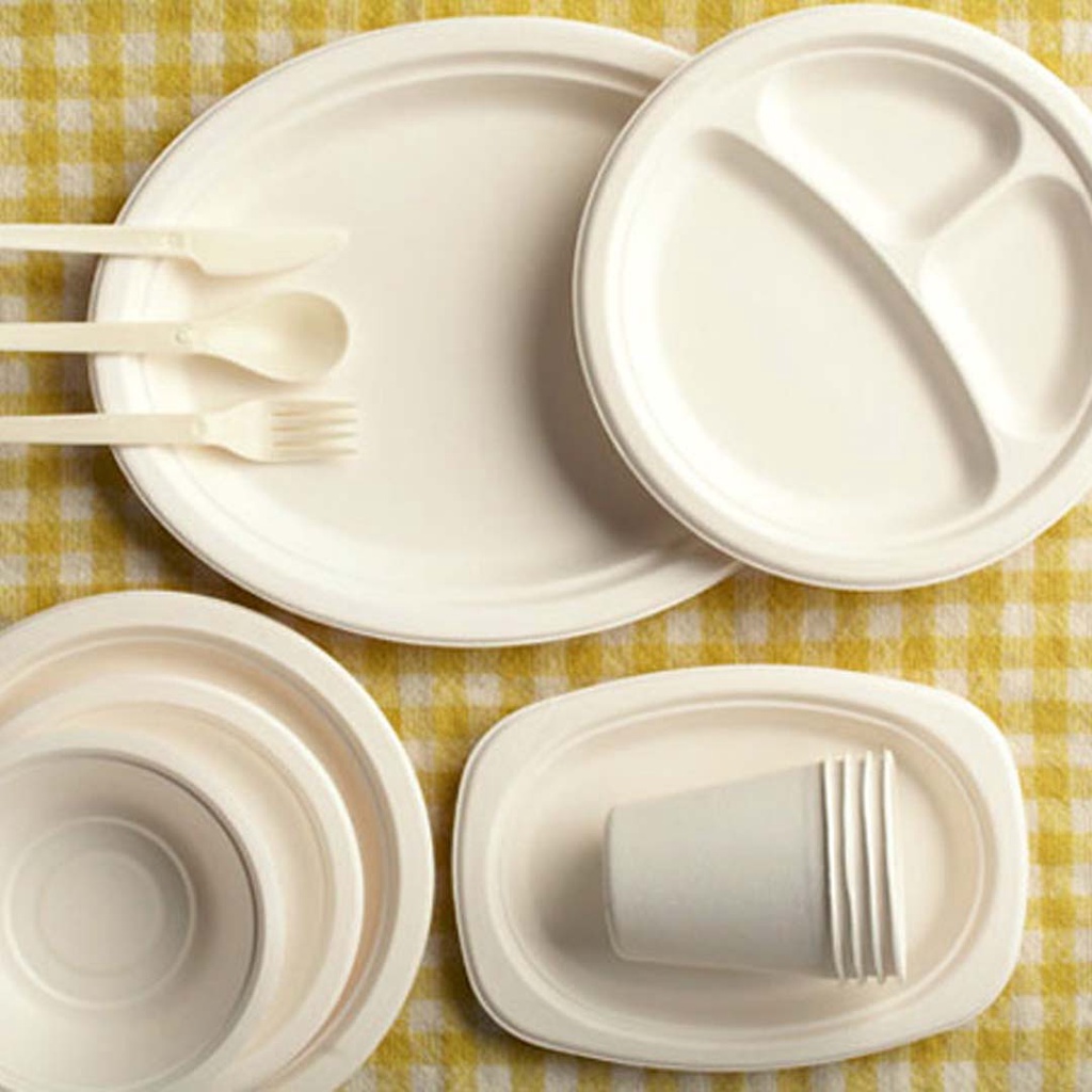 Biodegradable Tableware (few types) | Shopee Malaysia