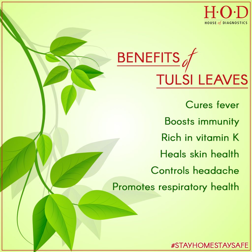 100% PURE NATURAL TULSI (TULASI, HOLY BASIL) LEAVES POWDER 190 GMS ...