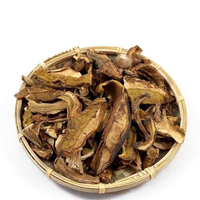 BLOETUS EDULIS (NIU GAN JUN) 牛肝菌 | Shopee Malaysia