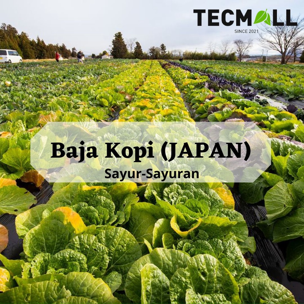 Baja sayur-sayuran rumah premium, 2kg untuk sayur dan buah buahan ...