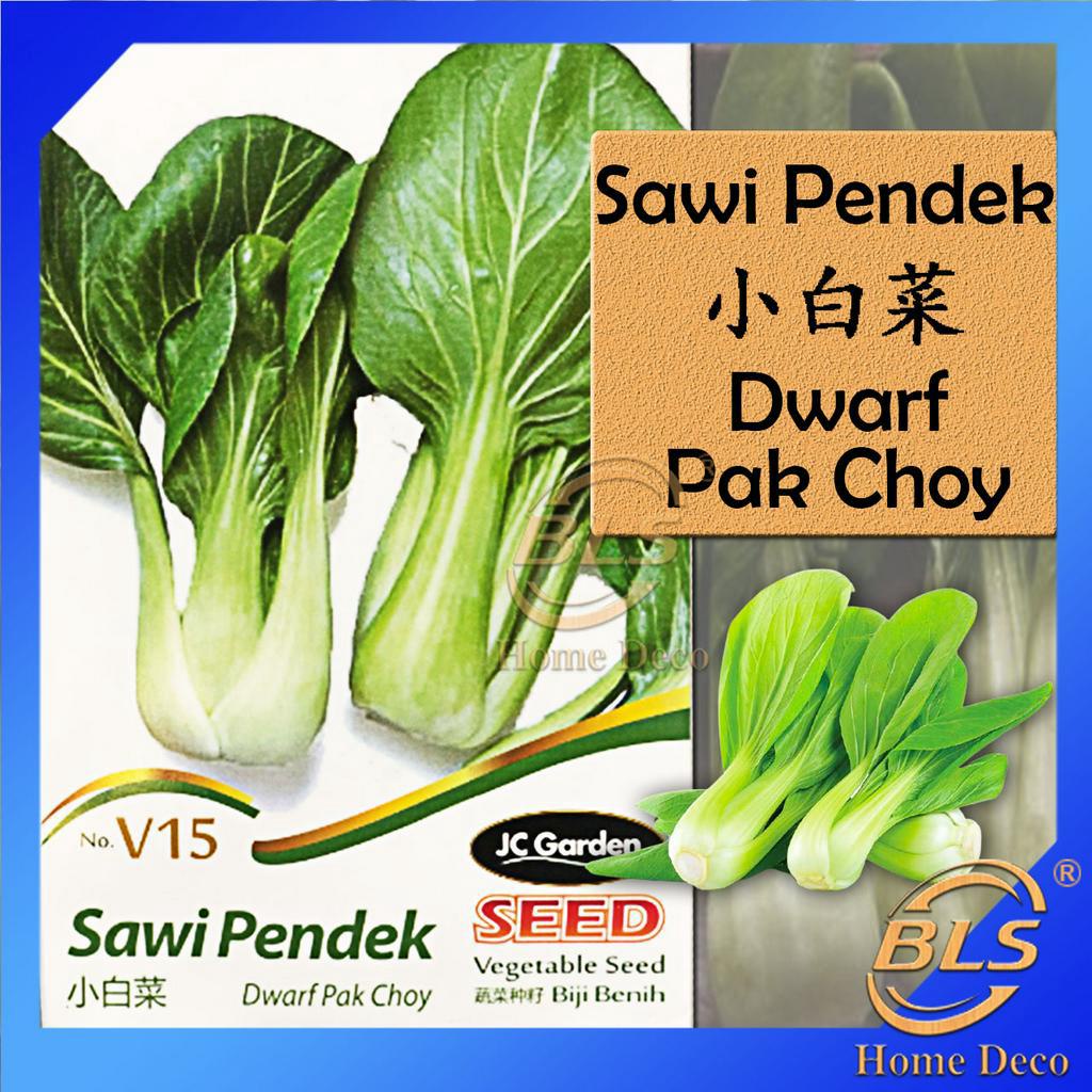 V15 DWARF PAK CHOY JC GARDEN VEGETABLE SEED BIJI BENIH SAWI PANDEK ...