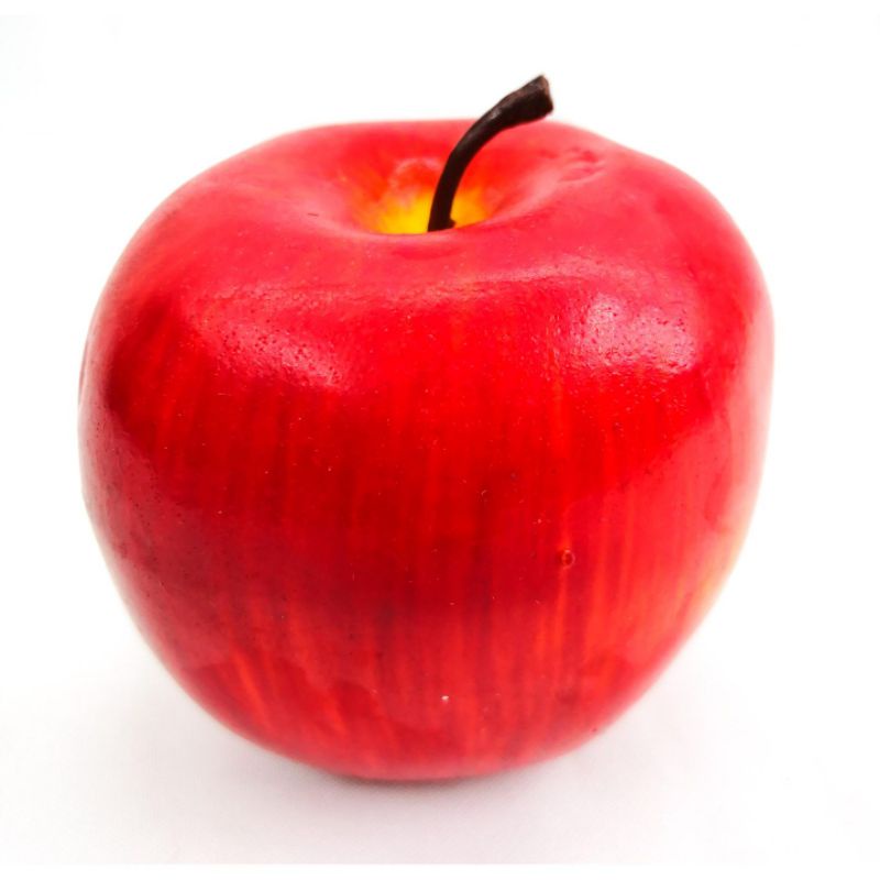 Simulated Plastic Vegetable Props Model/Model Prop Simulasi Sayuran ...