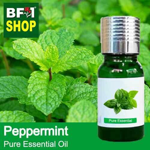 Pure Essential Oil (EO) - Mint - Peppermint ( Mentha Piperita ...