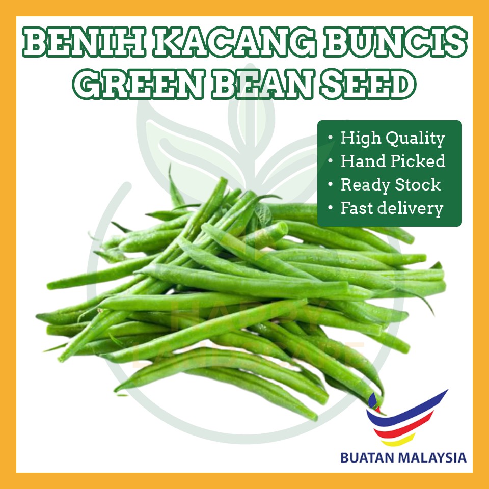 Benih Sayur Kacang Buncis Green Bean Vegetable Seed | Shopee Malaysia