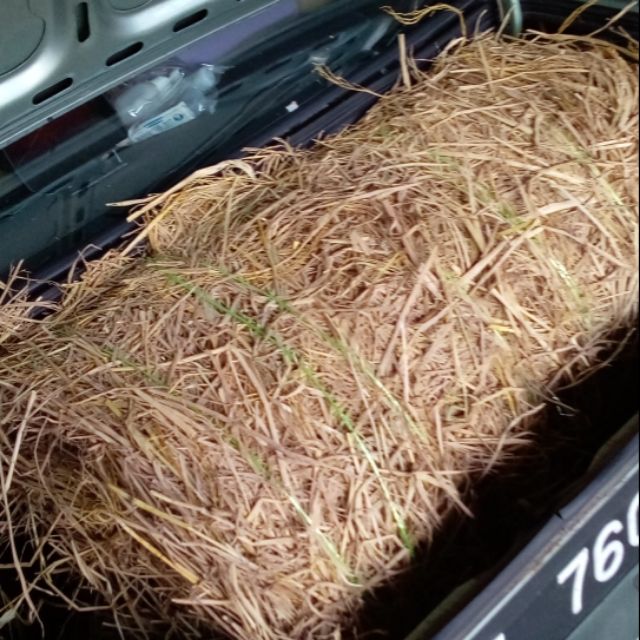 JERAMI PADI NATURAL 25KG ( BUNDLE ) | Shopee Malaysia