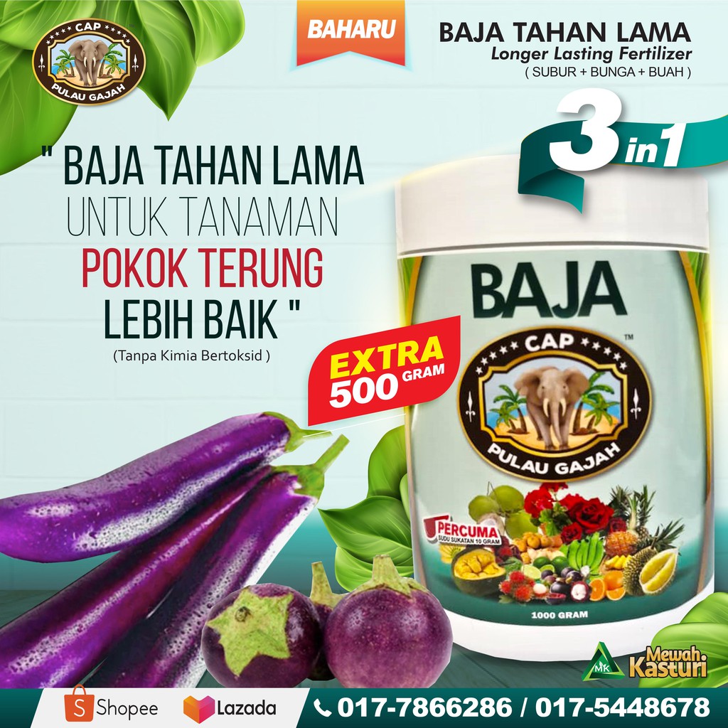 BAJA POKOK TERUNG DAN SAYUR-SAYURAN 13 Sumber Nutrein Semulajadi in 1 ...