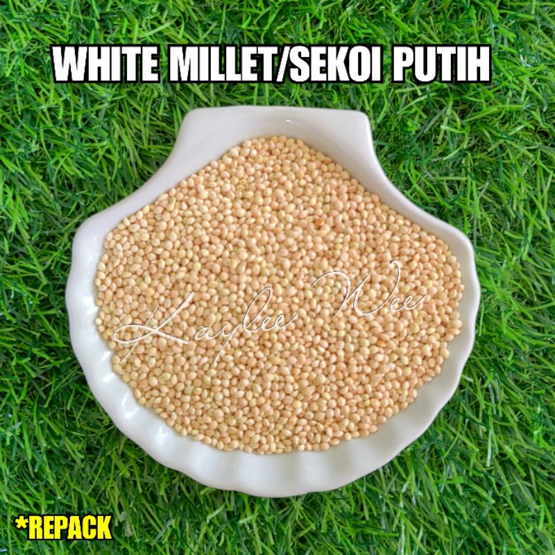 WHITE MILLET/SAMBAU PUTIH/SEKOI PUTIH 1KG | Shopee Malaysia