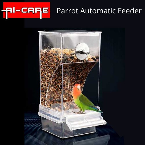 High Quality Parrot Automatic Bird Food Feeder Acrylic Bird Feeder ...