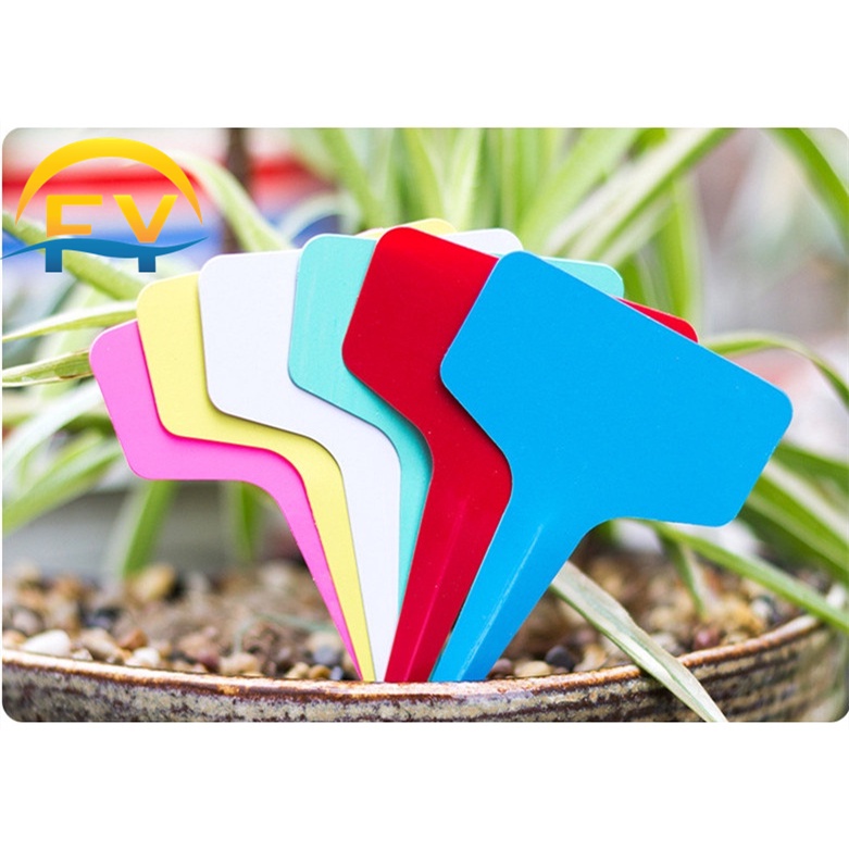 FY T-Type Succulents Label Tags Multicolor Tags Garden Markers Tag ...