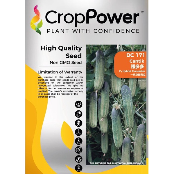 Benih Timun DC171 Cantik F1 Hybrid Cucumber Crop Power - ( 100g ) 👍 💯 ...