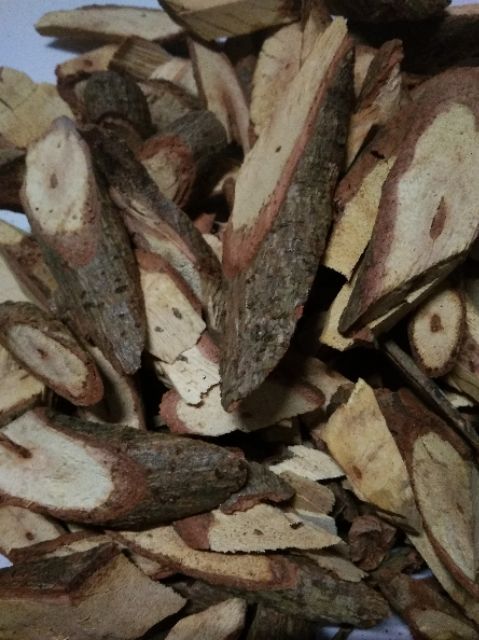 HERBA AKAR SERAPAT, HERBA WANITA, MENGANJALKAN & MENEGANGKAN ASET ...