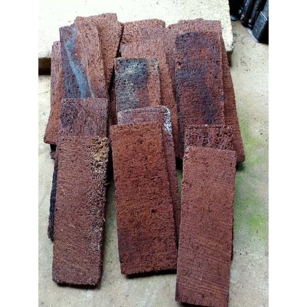 FERN SLAB UNTUK TANAM ORKID.. Saiz 11/12inci x 5/6inci | Shopee Malaysia