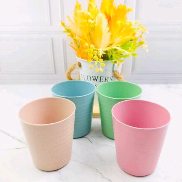 (24pcs) Color cups in plastic packaging | Shopee Malaysia