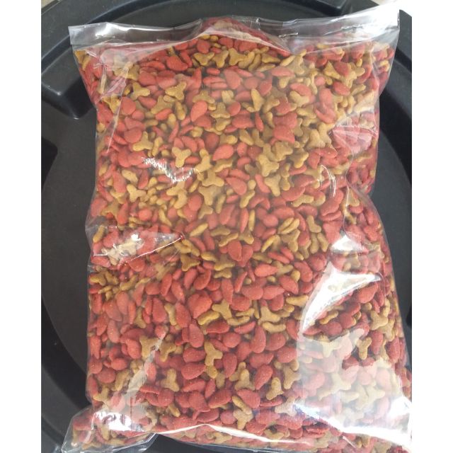 Kucing Gebu dry cat food makanan kucing seafood more more please ...