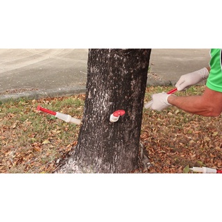 5L Superphos 400 Brightonmax Phosphorus Acid Durian Kanker Cure (Use with Chemjet) | Shopee Malaysia