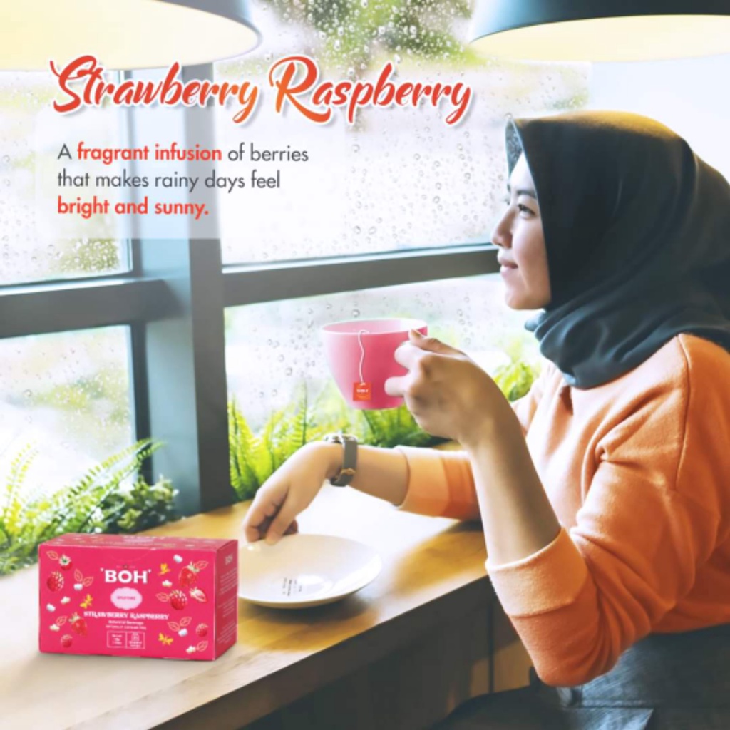 BOH Tea Teh NO CAFFEIN Herb & Fruit Camomile Peppermint Jasmine ...