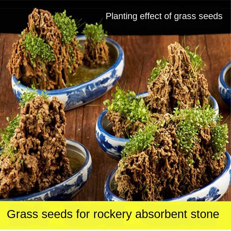 seed Flower seeds Organic seeds Carpet grass seeds Green seeds Batu ...