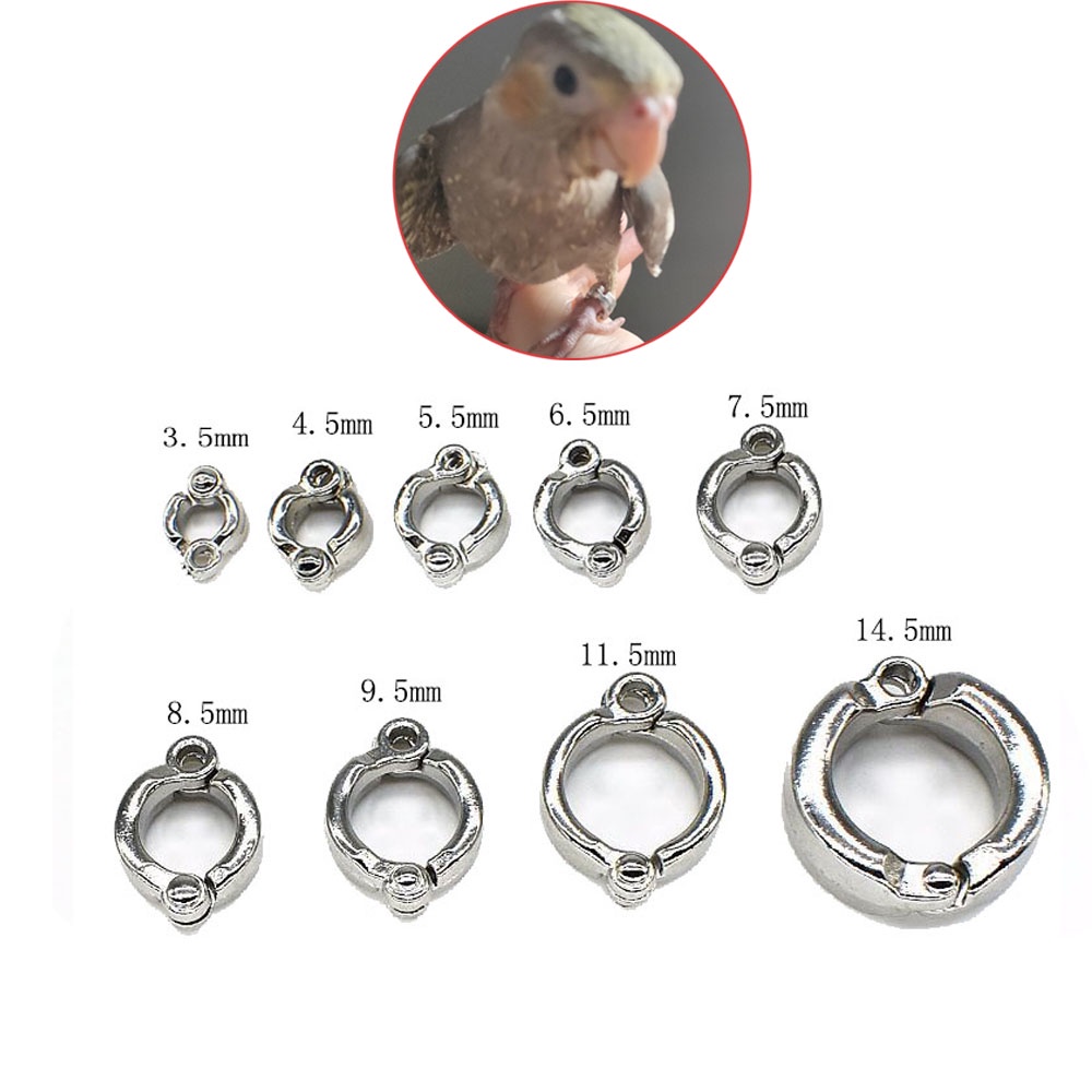 2 PCS 4mm to 15mm Birds Foot Ring Love birds/Budgerigar Foot Ring ...
