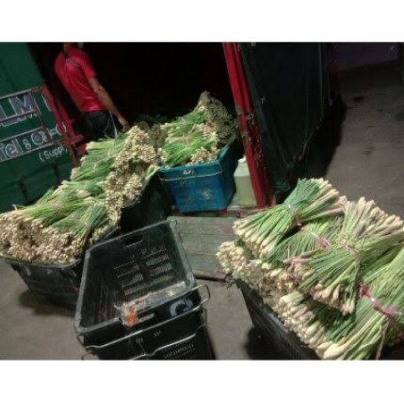 SERAI KAMPUNG 50 BATANG HARGA B40 | Shopee Malaysia