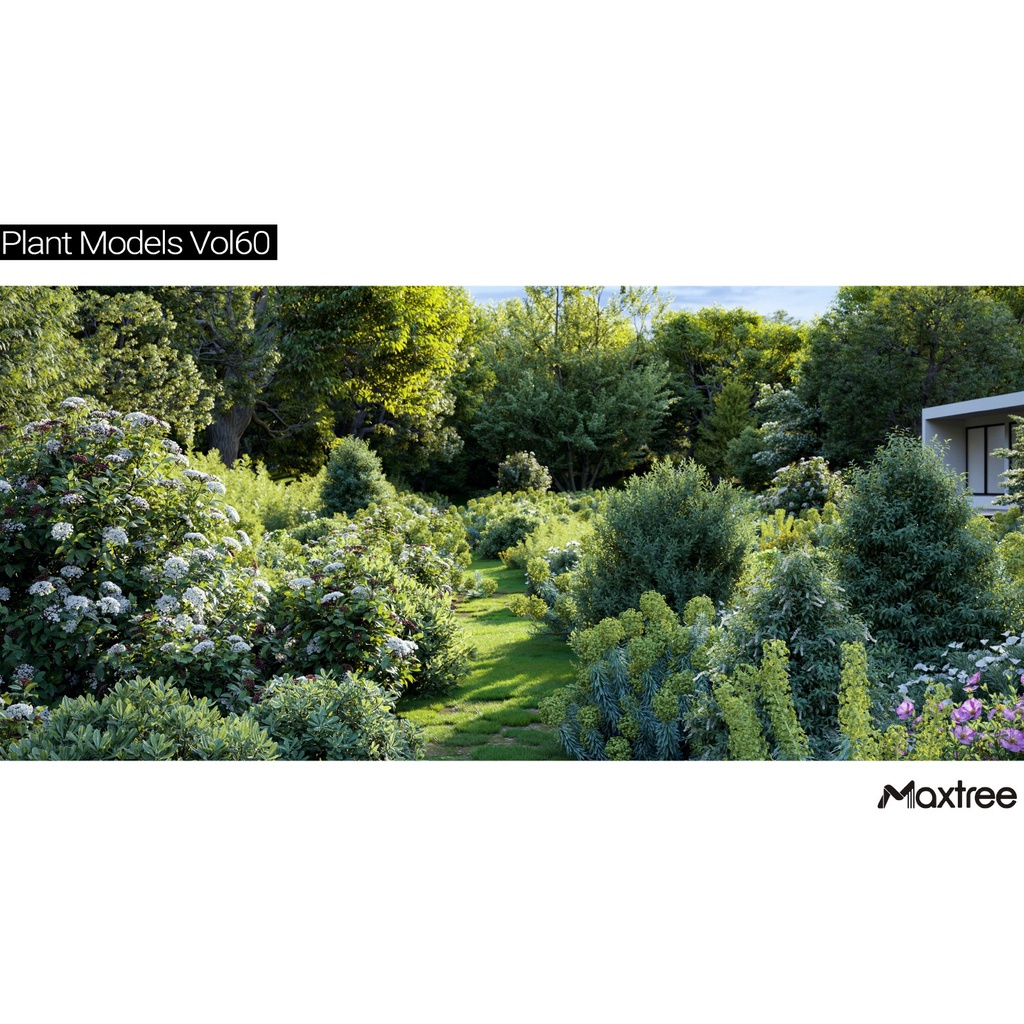[Model] Maxtree - Plant Models Vol.60 Tree, Shrubs & Flowers | Shopee ...