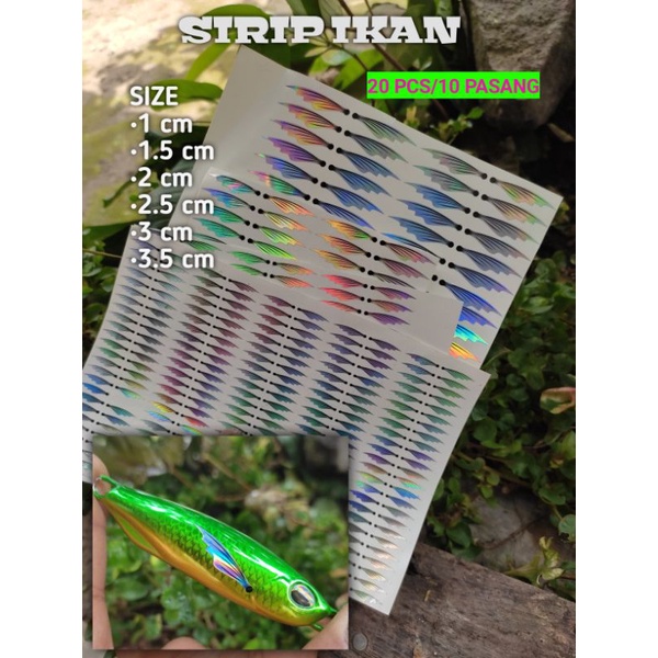 20 pcs hologram fish fin stickers for lure/metal jigs | Shopee Malaysia