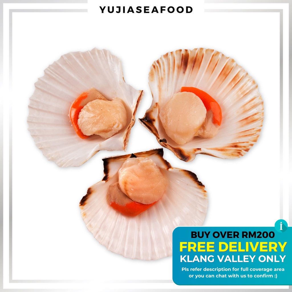 [KL&SGR SAHAJA] 500g XL Half Shell Scallop With Roe 7-8cm / Frozen ...