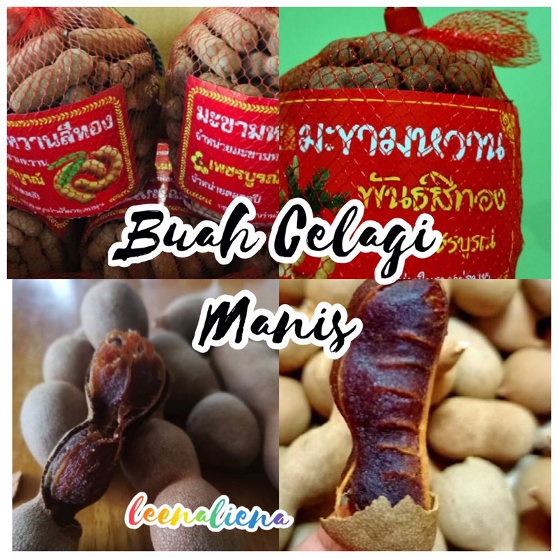 BUAH ASAM CELAGI / ASAM JAWA / ASAM MANIS / ASAM THAILAND / BUAH ASAM ...