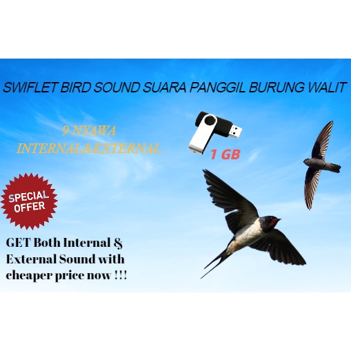 SWIFTLET SWIFLET BIRD SOUND SUARA PANGGIL BURUNG WALIT WALET 燕子 声 MP3 9 ...