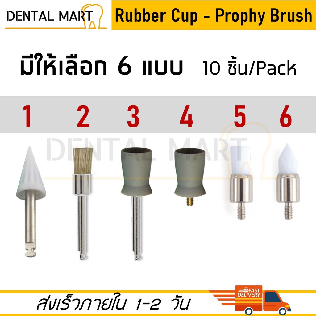 Dental Rubber Cup-Prophy Brush-Bristle 10'S/pack | Shopee Malaysia