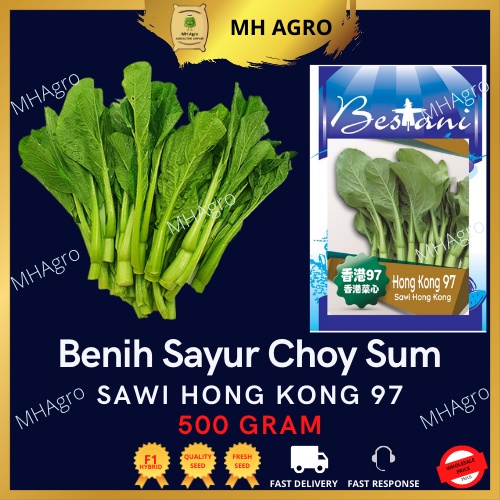 BESTANI S121 Biji Benih Sawi Choy Sum 500Gram/300,000seed Sawi Hong ...