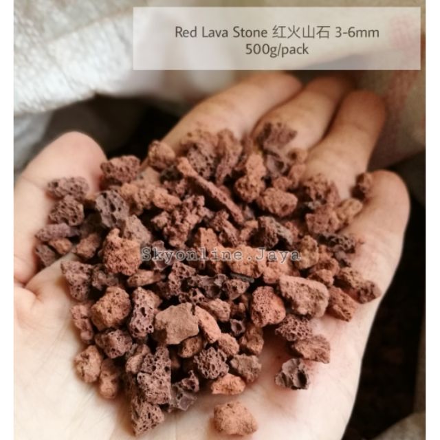 🌵Ready Stock🌵Succulent Stone Red Lava Stone 3-6mm 红火山石 500g(REPACK ...