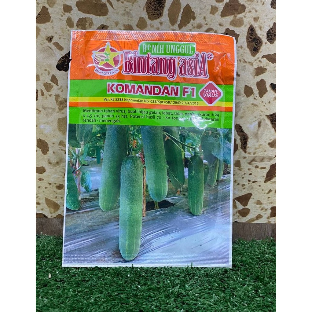 Benih Timun KOMANDAN F1 Cap Bintang Asia (20gm) | Shopee Malaysia