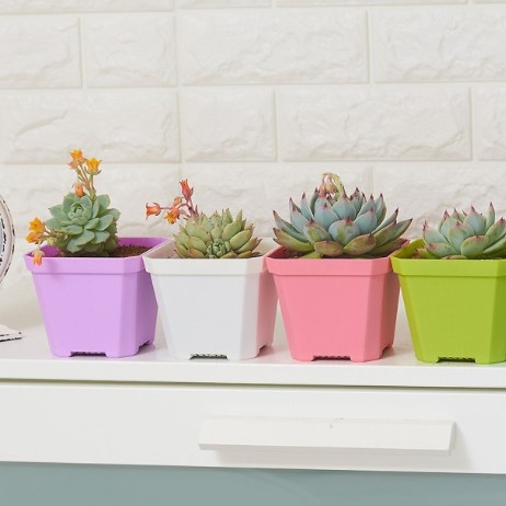 10cm Plastic Pots Square 10cm Black Or White Colour Planter Flower ...