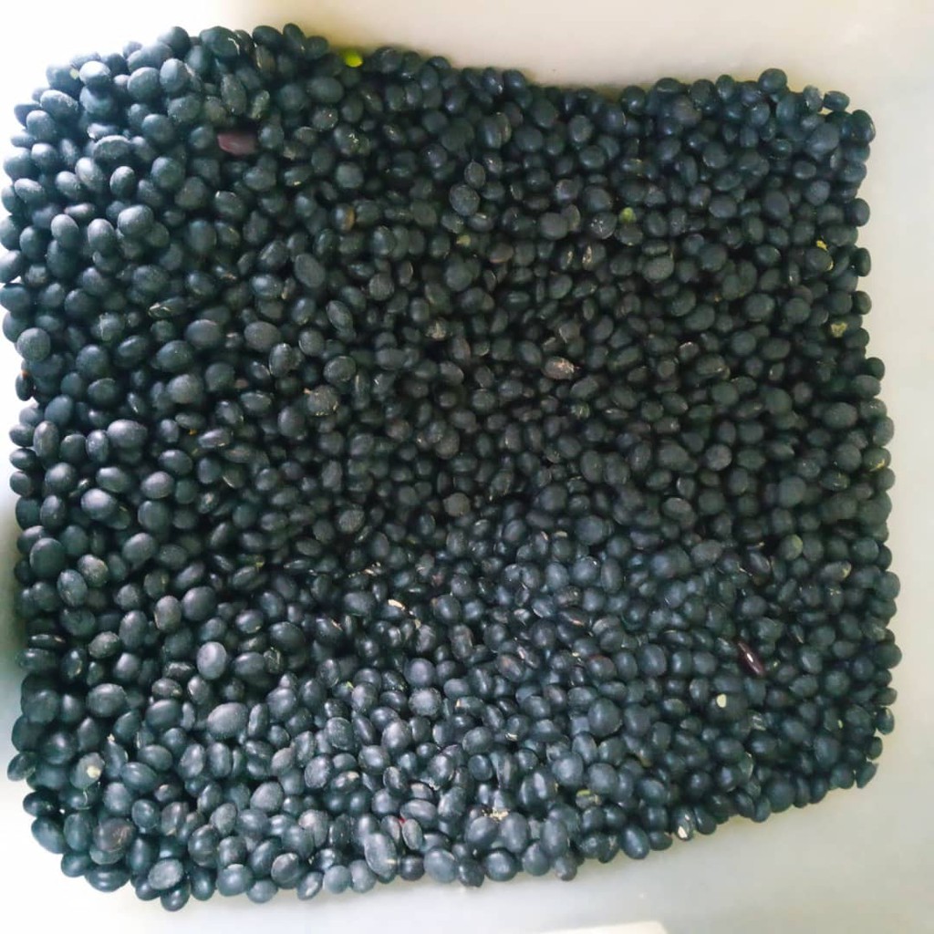 KACANG SOYA HITAM CINA 1KG | READY STOCK | Shopee Malaysia