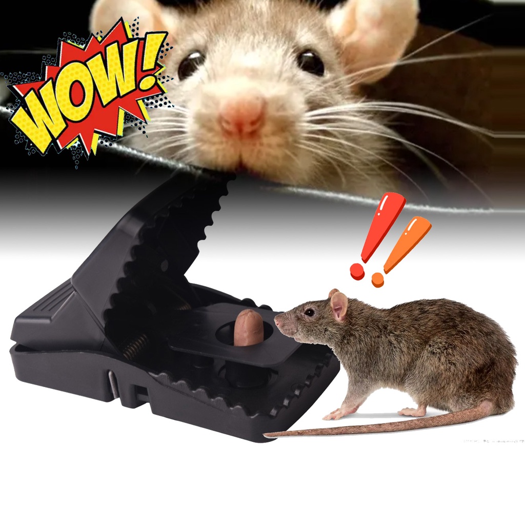 XO New generation spring-loaded black plastic mouse trap | Shopee Malaysia