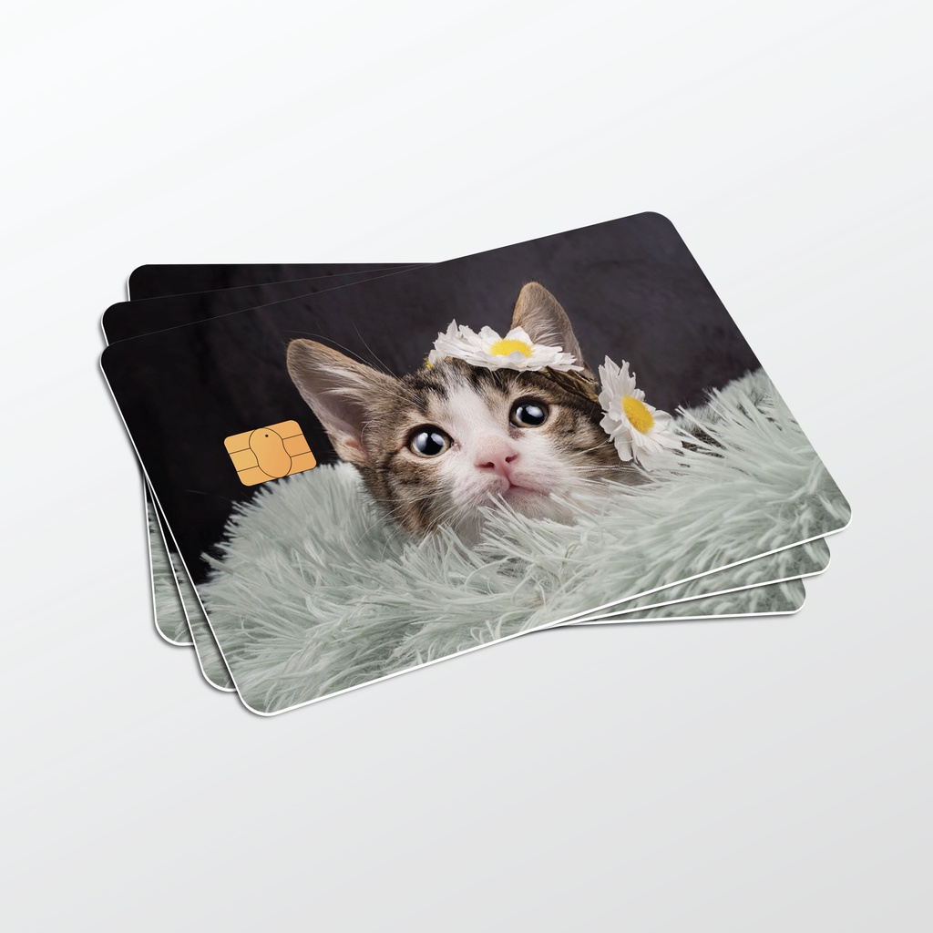Cat Kitten ATM Bank Sticker Card Cover Access Touch n Go Skin Bank ...