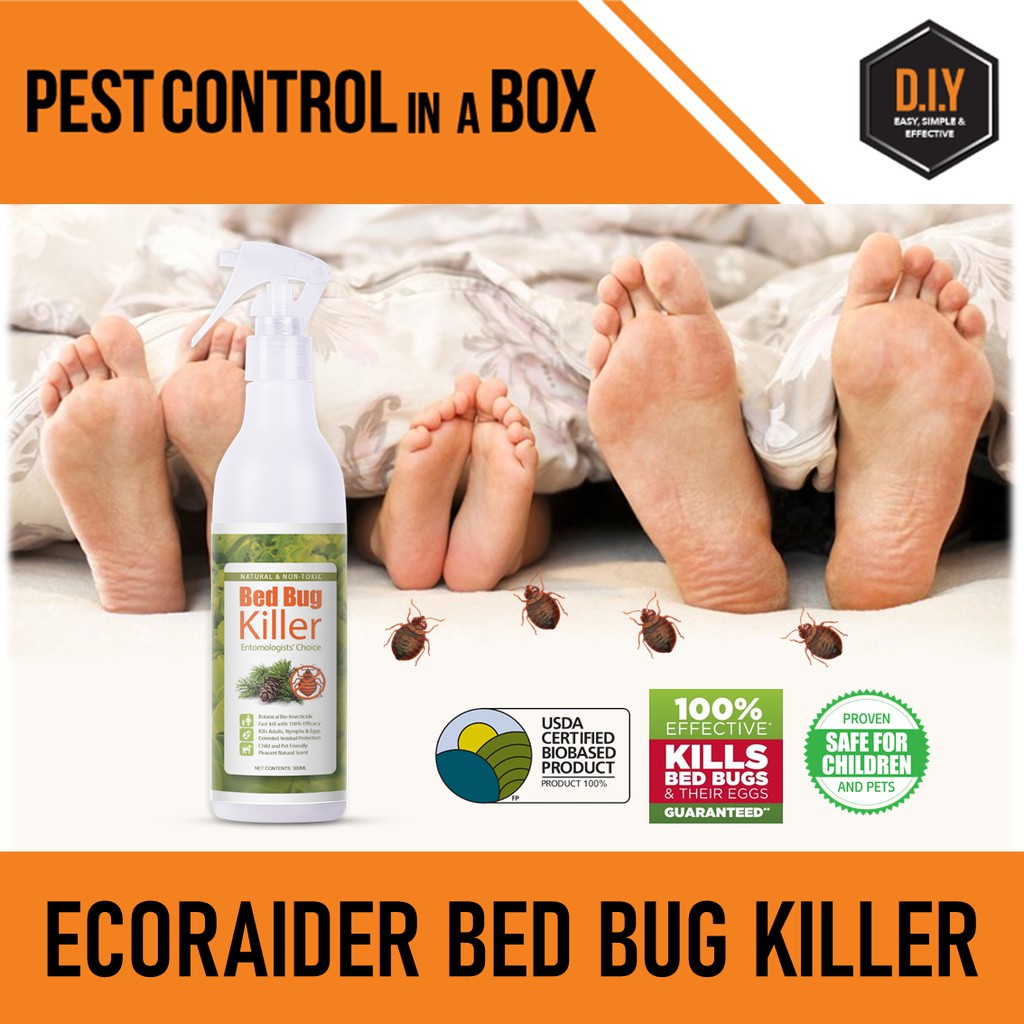 Elegant Ecoraider Bed Bug Killer Pictures