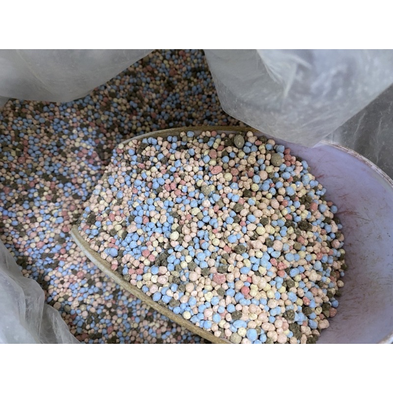 1KG Baja Buah Import 12-12-17+2MgO+TE Imported Fruiting Fertilizer 🍈🍉🍌🍍 ...